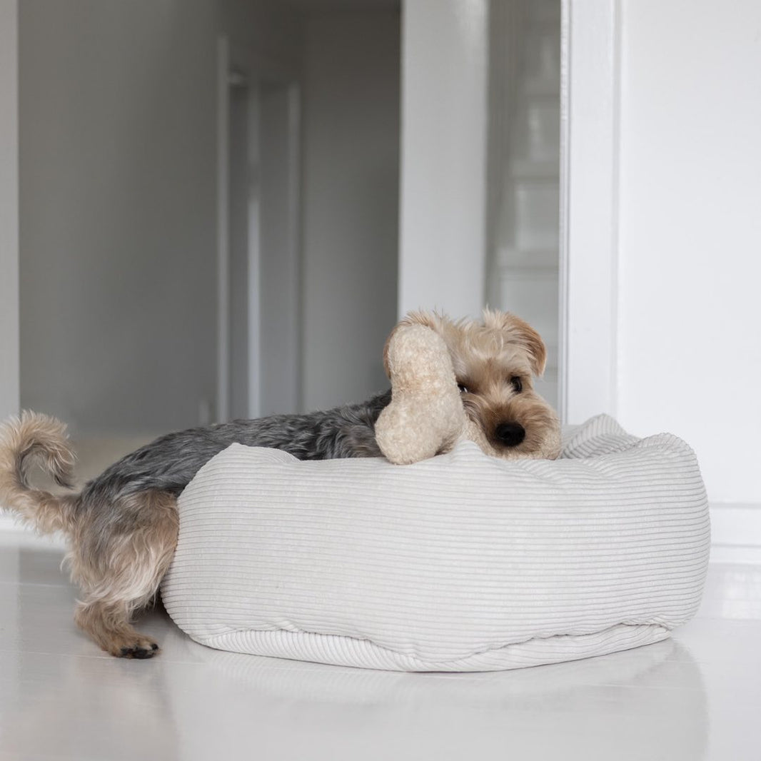 Staey: Kvalitet og Komfort til Din Hund – Luksushund